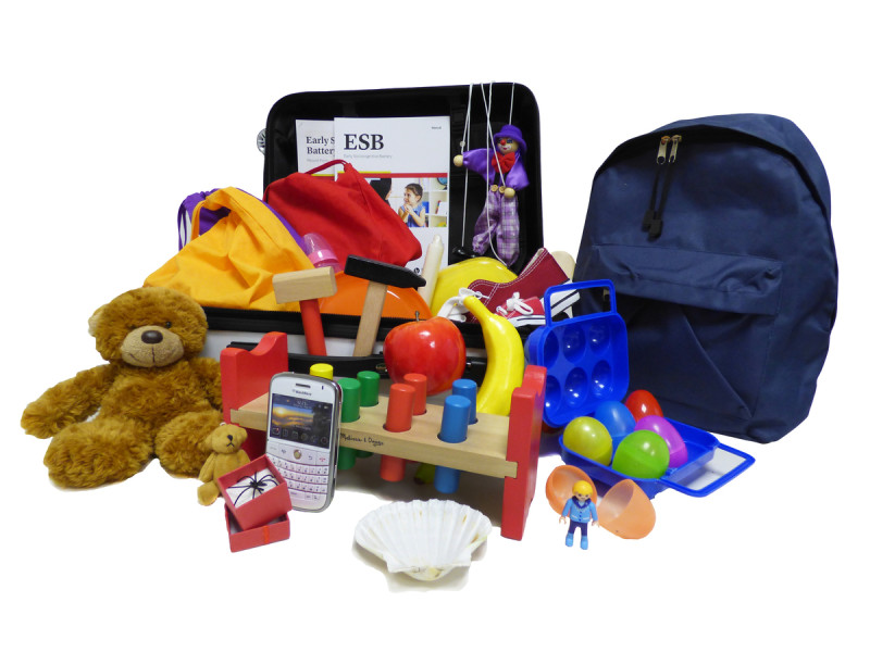 ESB - Kit (Manual, 25 Record Forms, Kit Items) – Hogrefe - Online ...